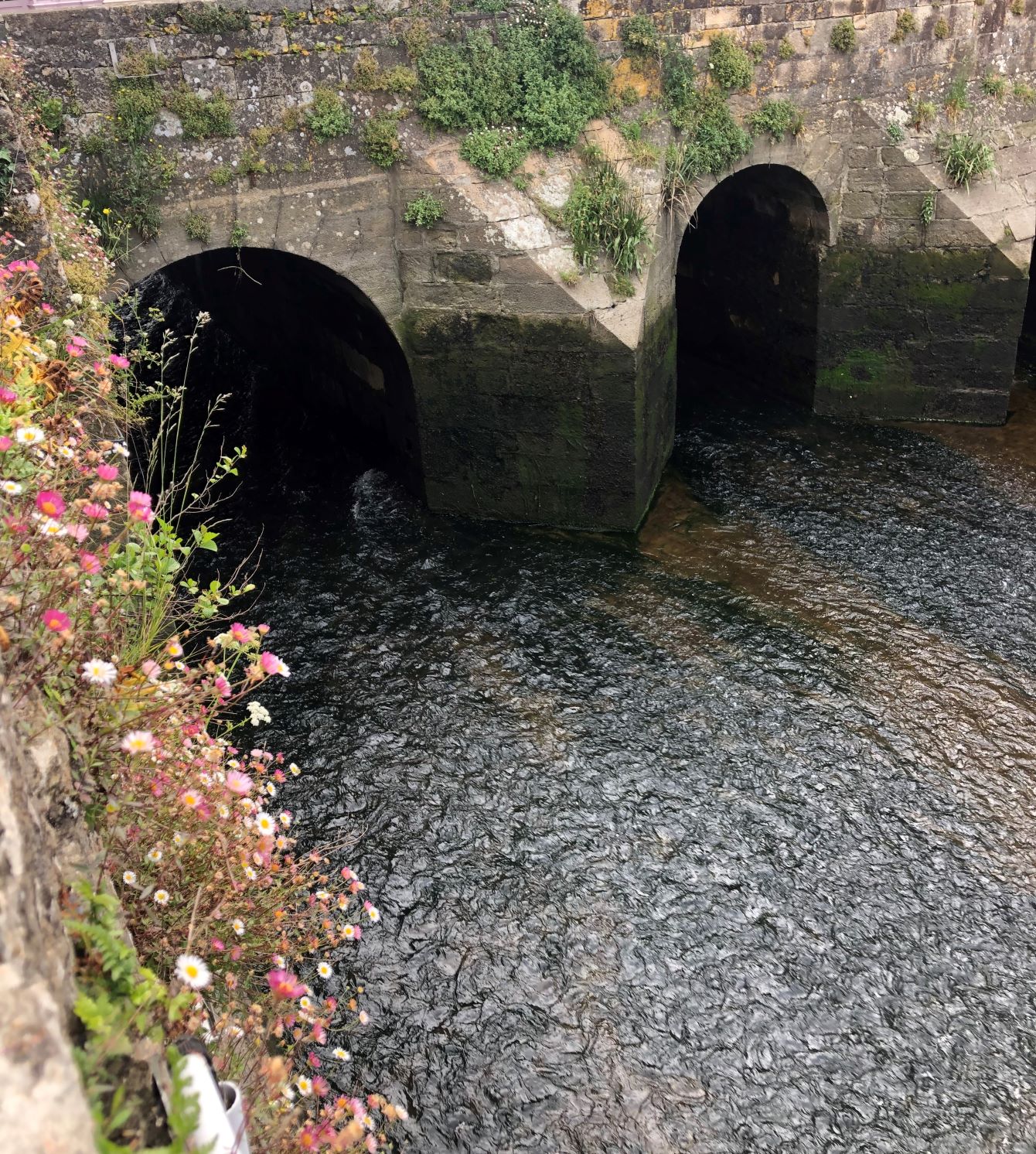 Le Pont de Rohan à Landerneau, pont habité - L'Œil du Léon